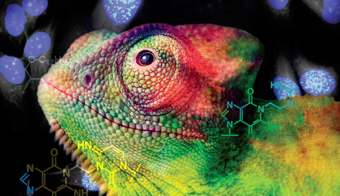 Treating Brain Cancer :: Chameleons Treating Brain Cancer :: Chameleons